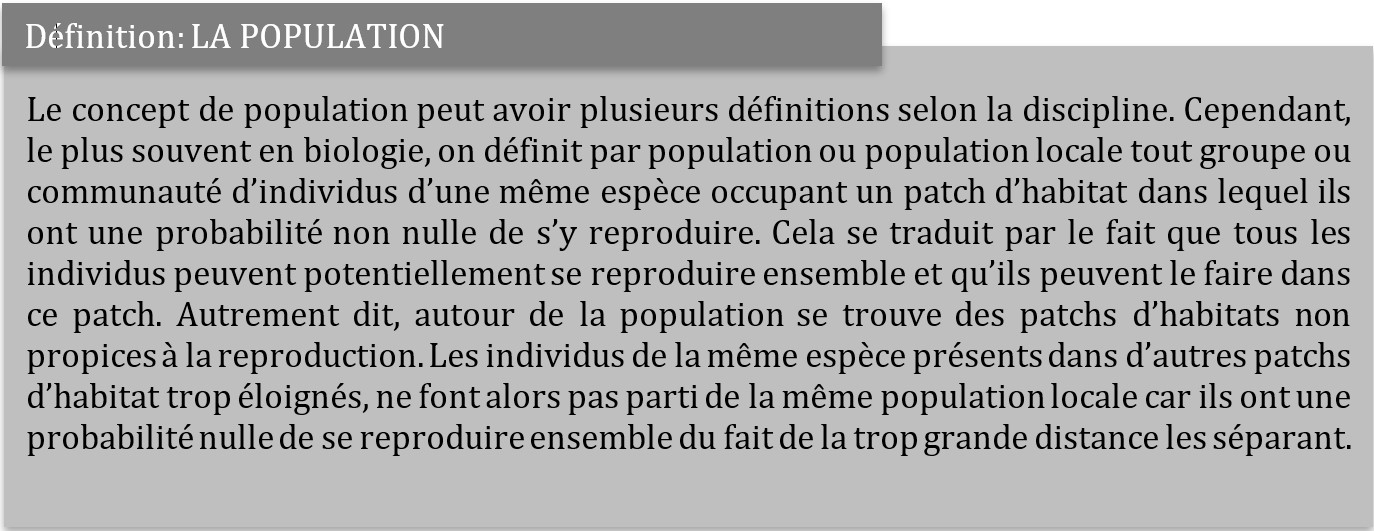 FOCUS technique : Dynamique des populations | Scimabio Interface